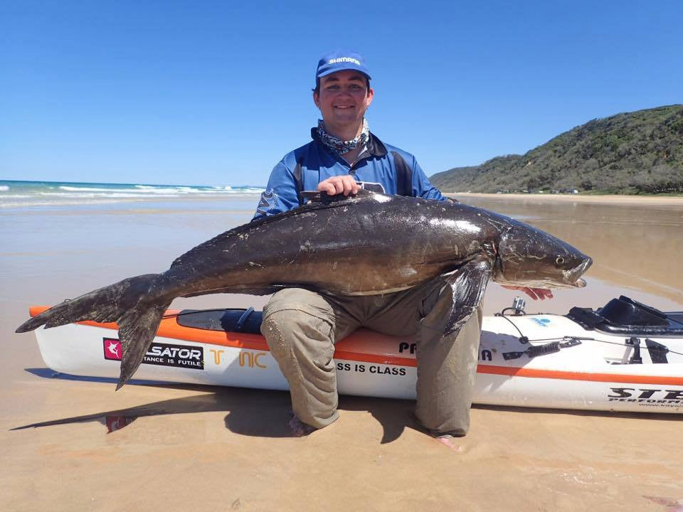 Cobia on the Chew — Australian Kayak Specialists